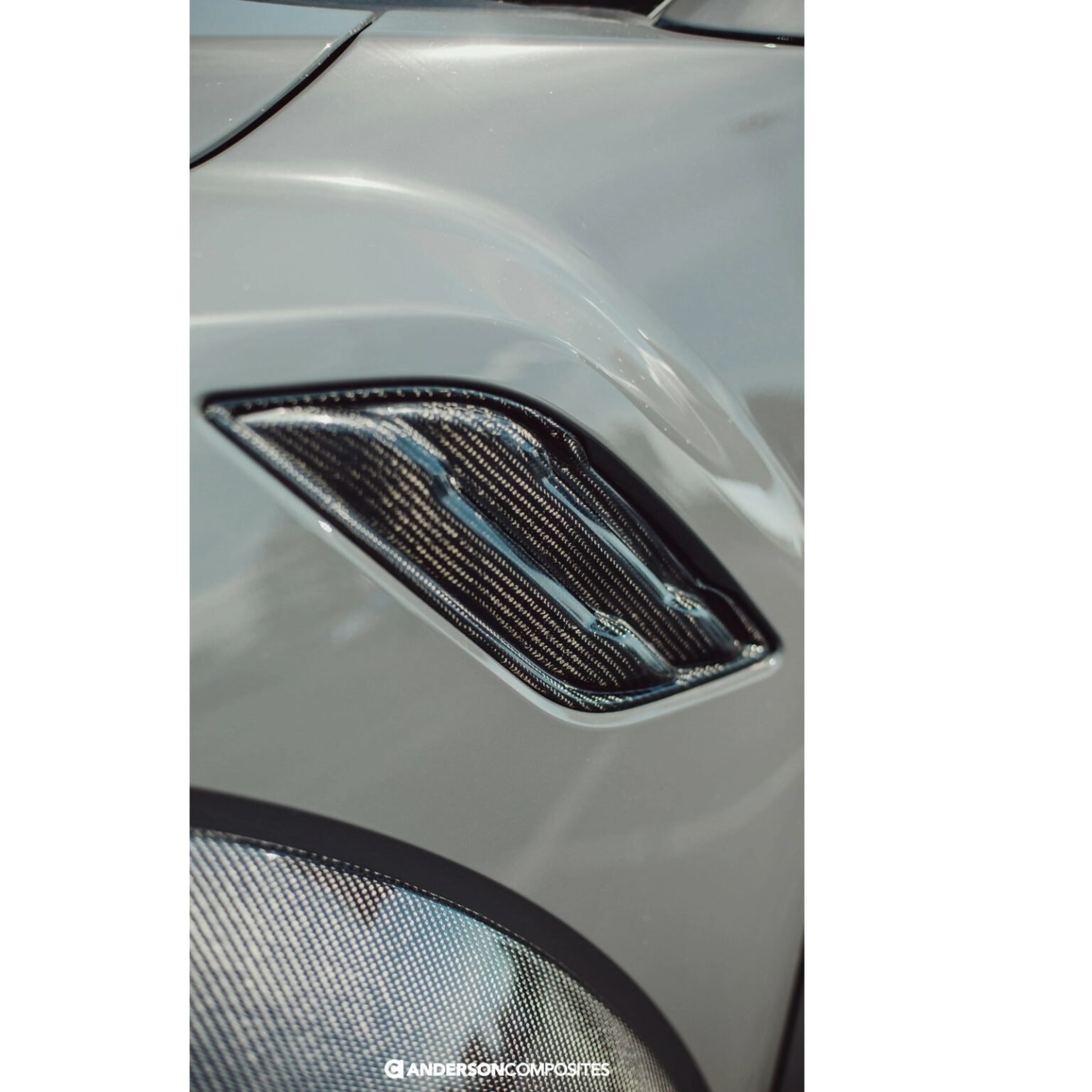 Anderson Composites 2017-2020 Ford F-150 Raptor Type-OE Carbon Fiber ...